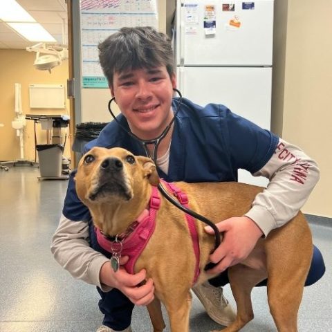 Great Falls, MT 59404 Veterinarians | Two Rivers Pet Hospital